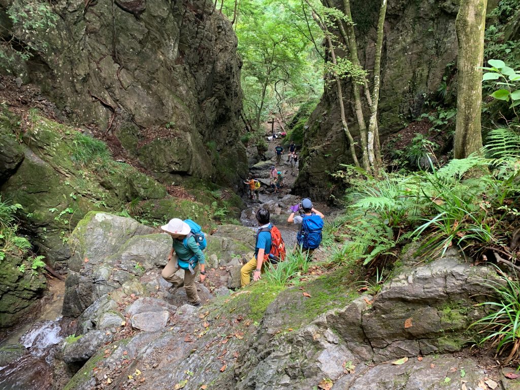 What’s the DAN-RAN – DAN-RAN